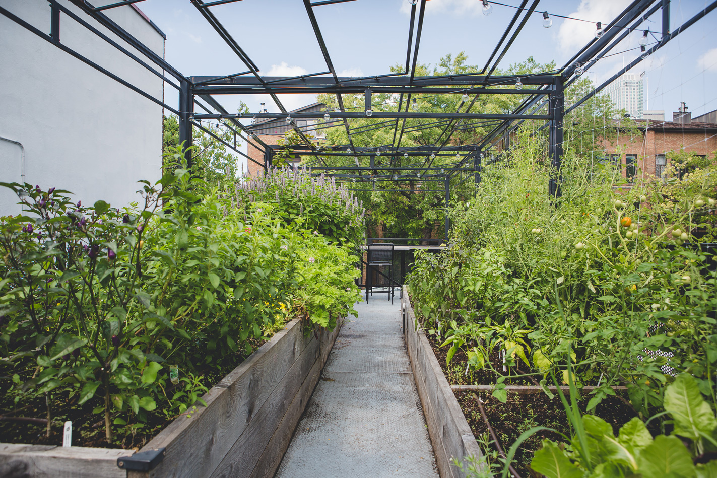 Création de potagers sur-mesure – Semis Urbains